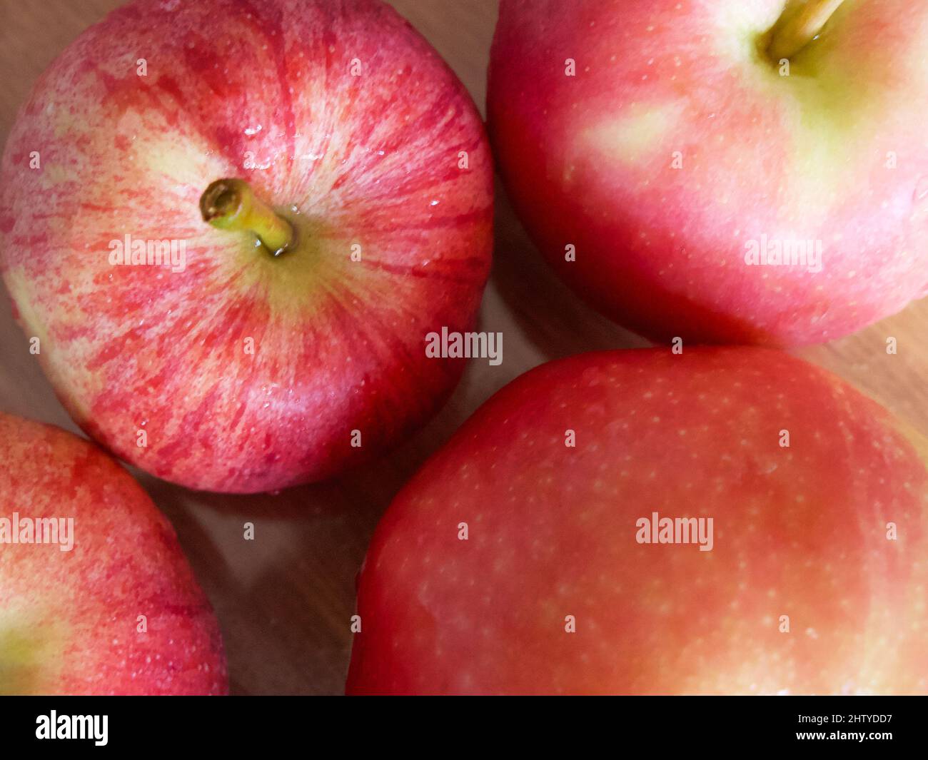 Macro photo of ripe red apples of gala and Ligol varieties. Apple close ...
