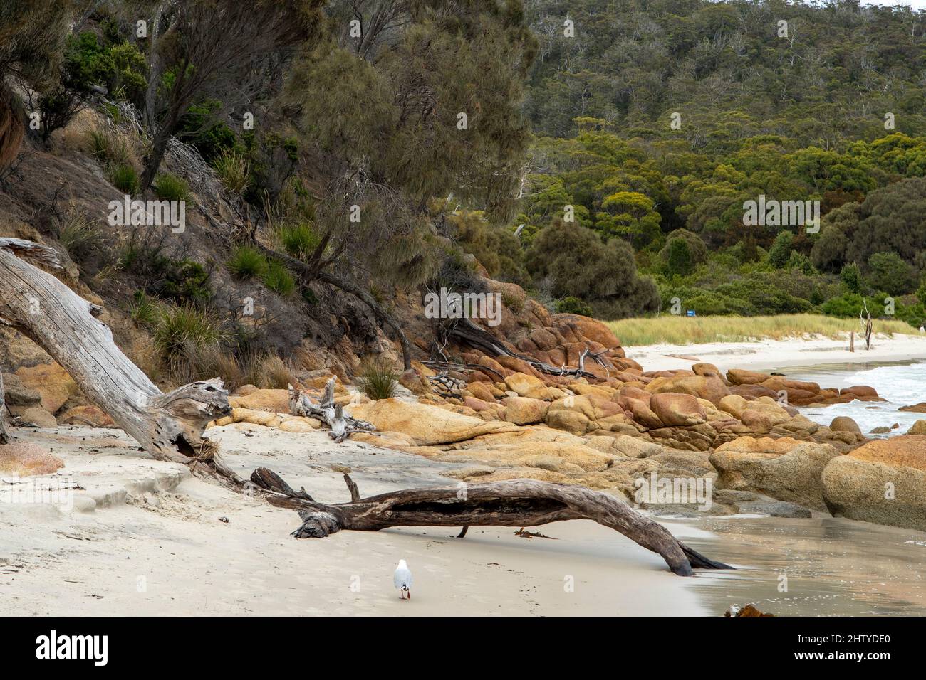 Sandy beach and granite rocks hi-res stock photography and images - Alamy