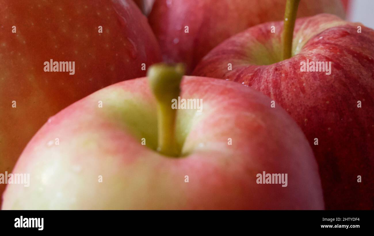 Several apples of the Ligol and gala varieties, a close-up shot Stock ...
