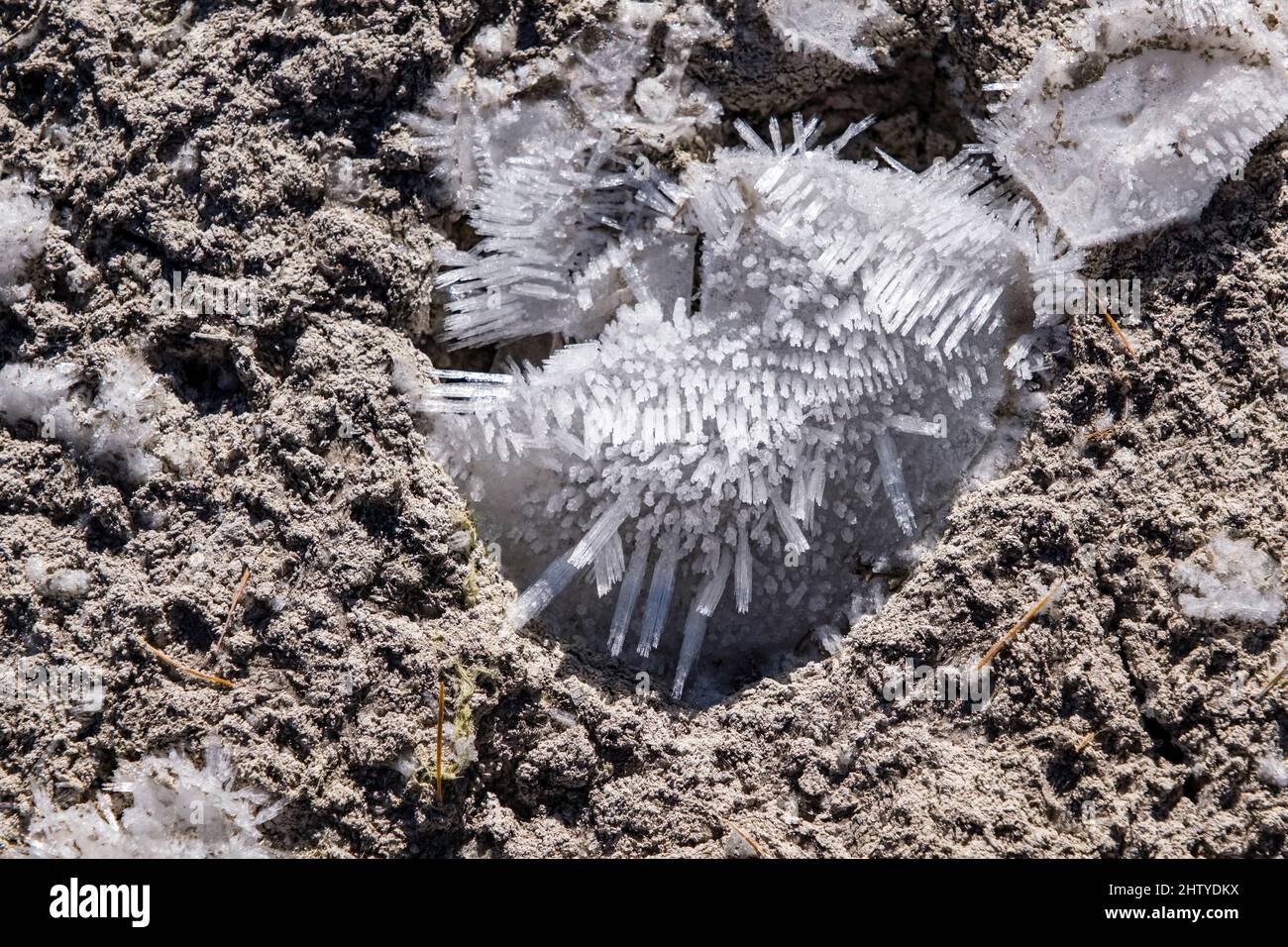 Frozen structures hi-res stock photography and images - Alamy