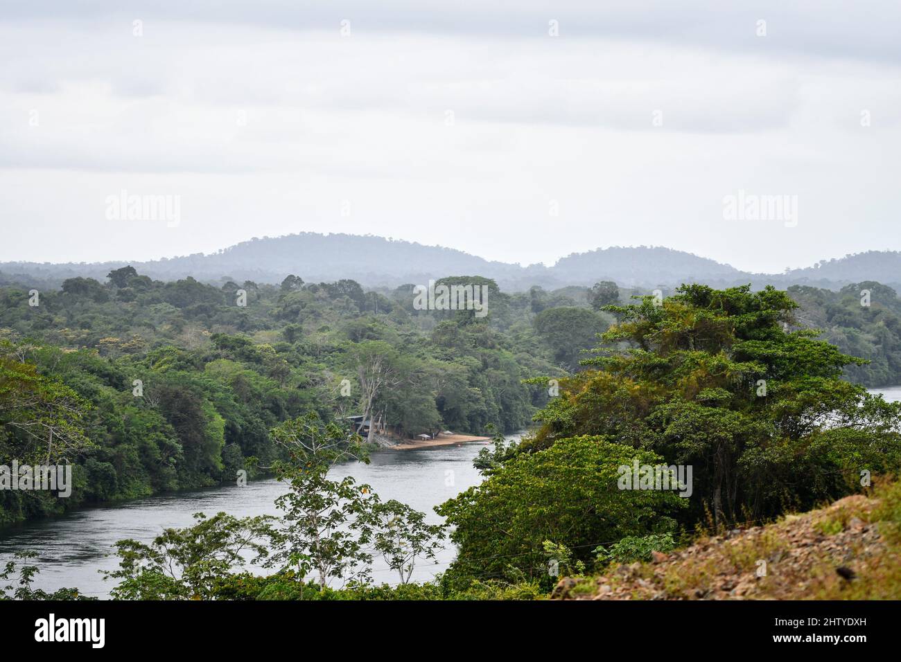 Landscape view of the riverside surrounded by forests Stock Photo - Alamy