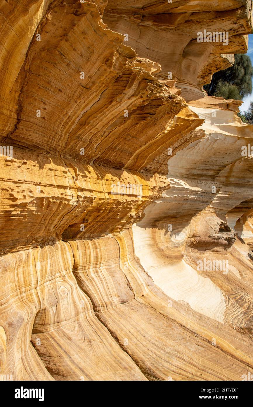 Painted Cliffs, Maria Island, Tasmania, Australia Stock Photo - Alamy
