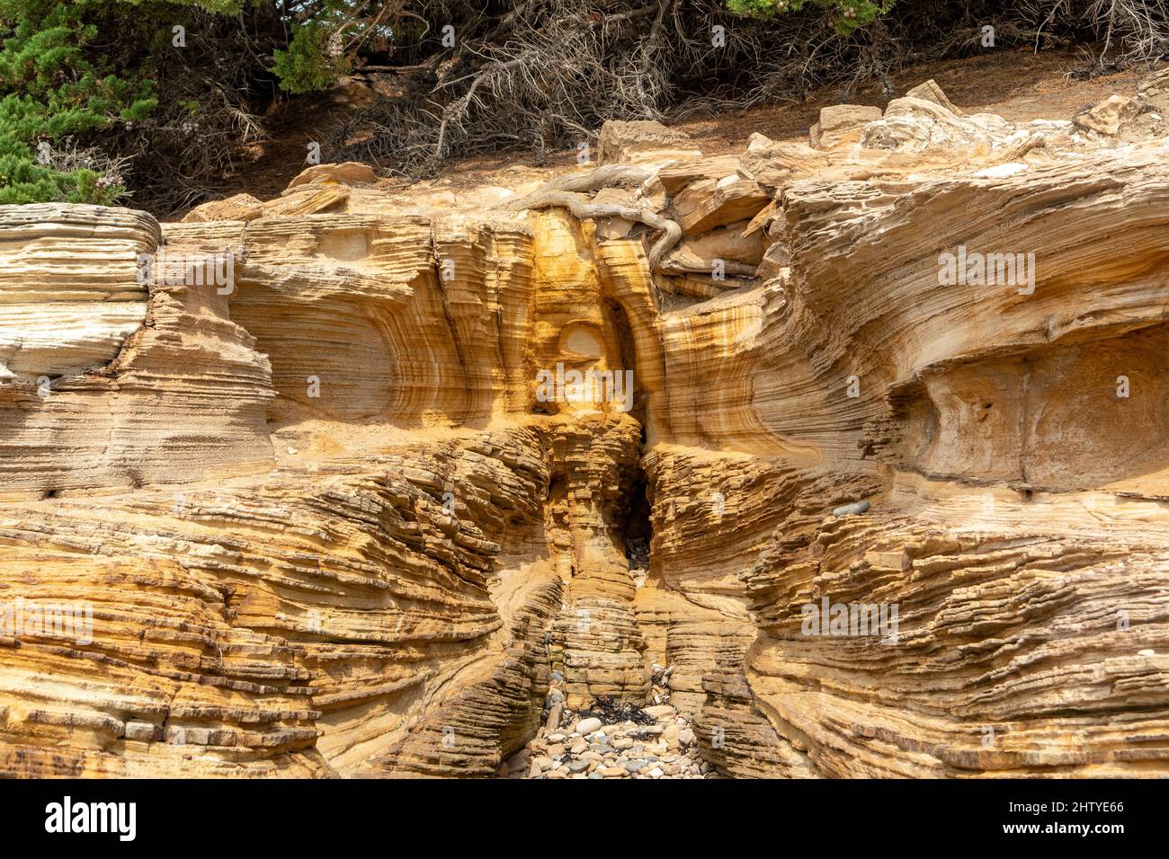 Painted Cliffs, Maria Island, Tasmania, Australia Stock Photo - Alamy