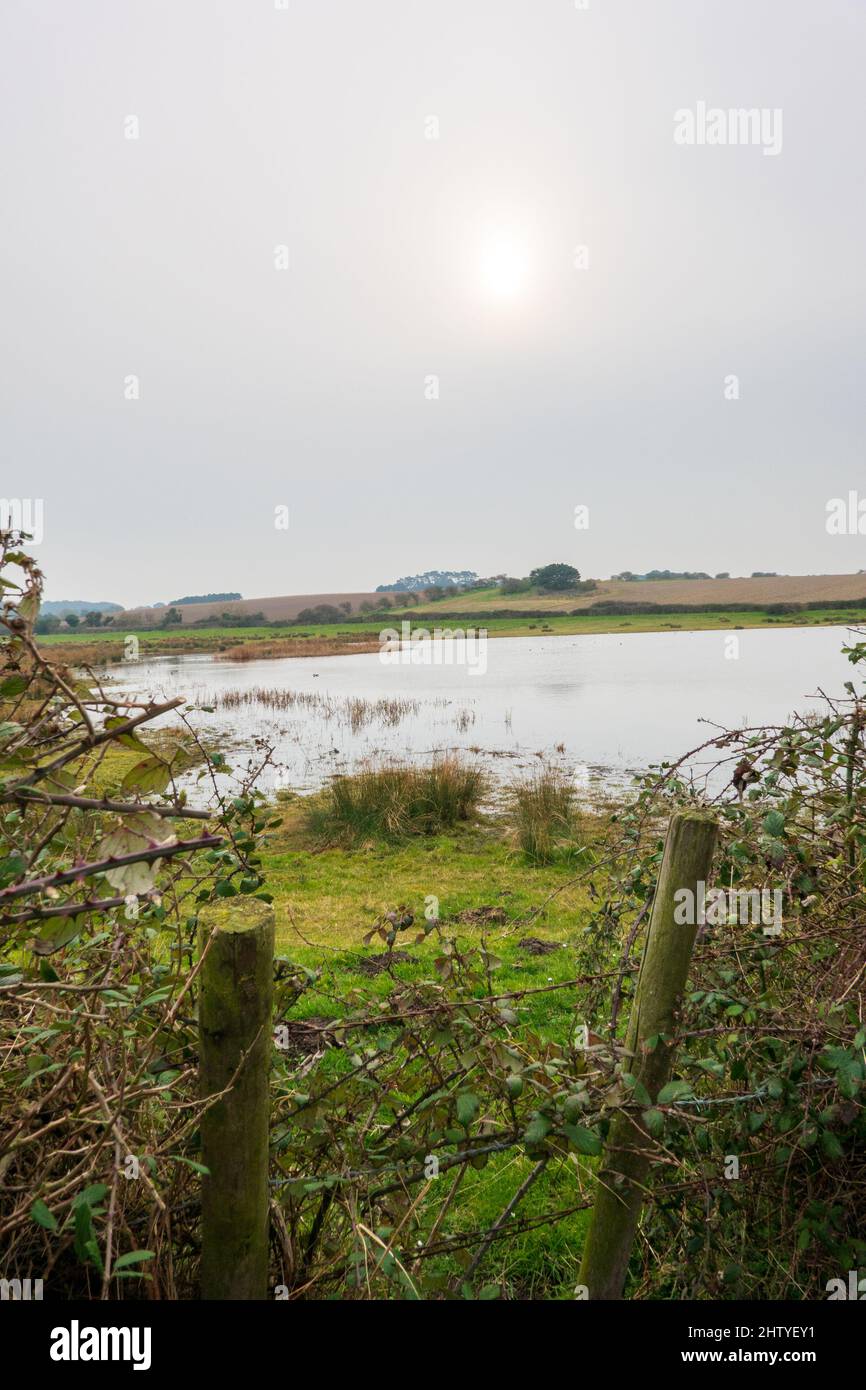 Quag hi-res stock photography and images - Alamy