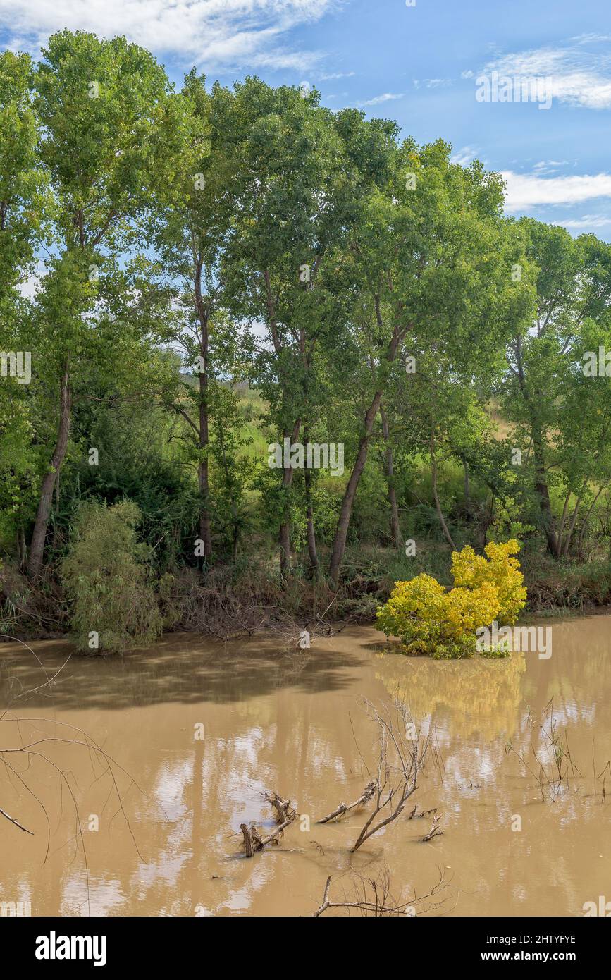 View of the Modder River at River of Joy near Bloemfontein in the Free ...