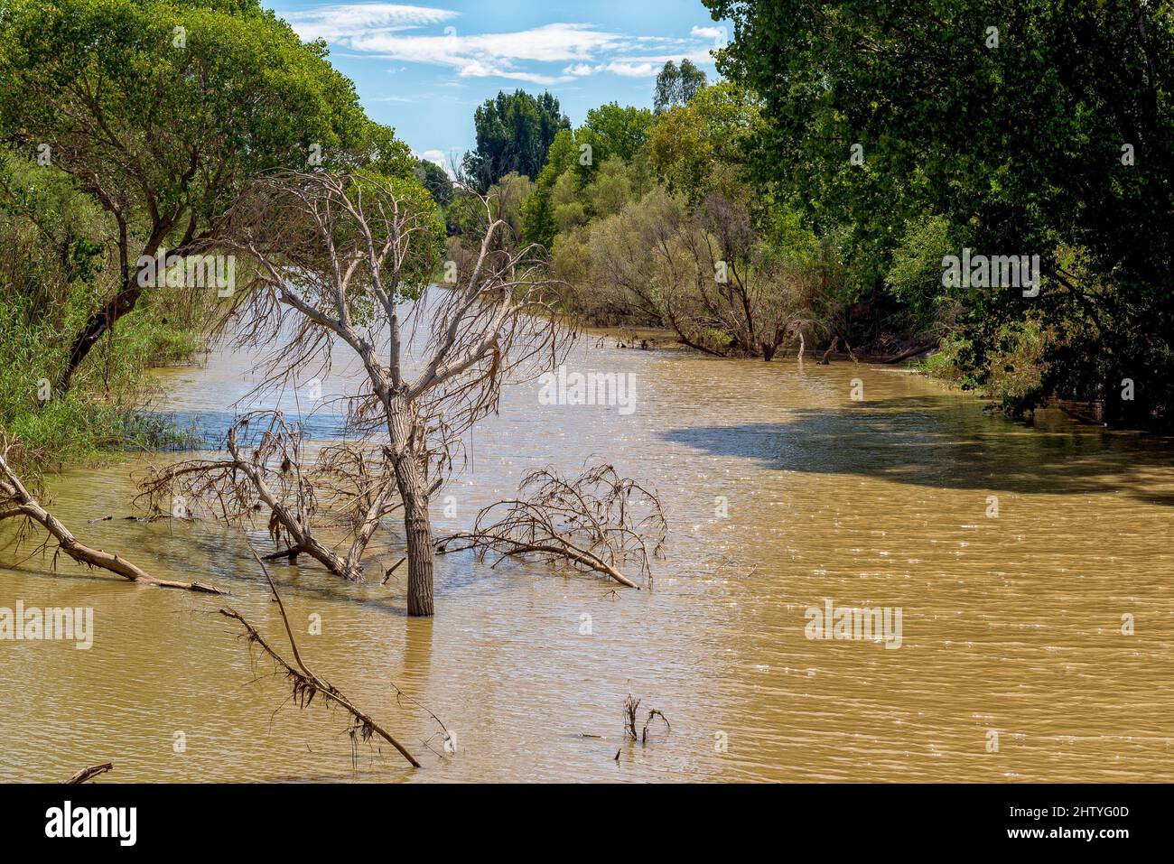 View of the Modder River at River of Joy near Bloemfontein in the Free ...