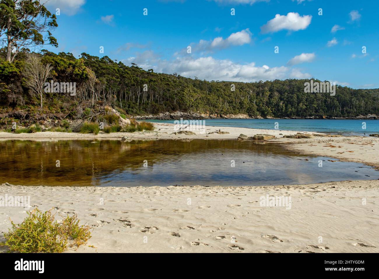 Fortescue Bay, Tasman Peninsula, Tasmania, Australia Stock Photo - Alamy