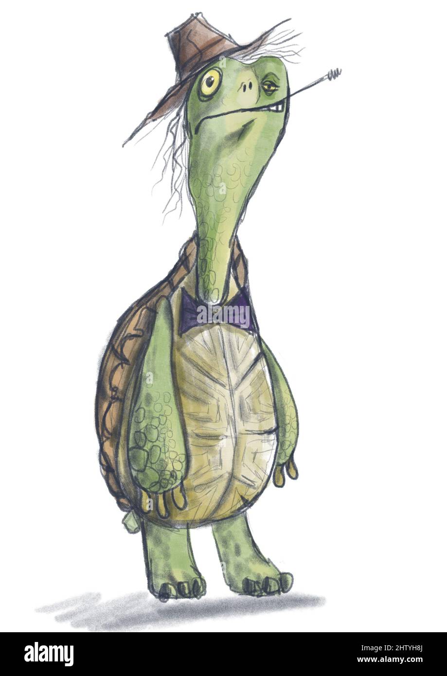 Tortoise hat hi-res stock photography and images - Alamy