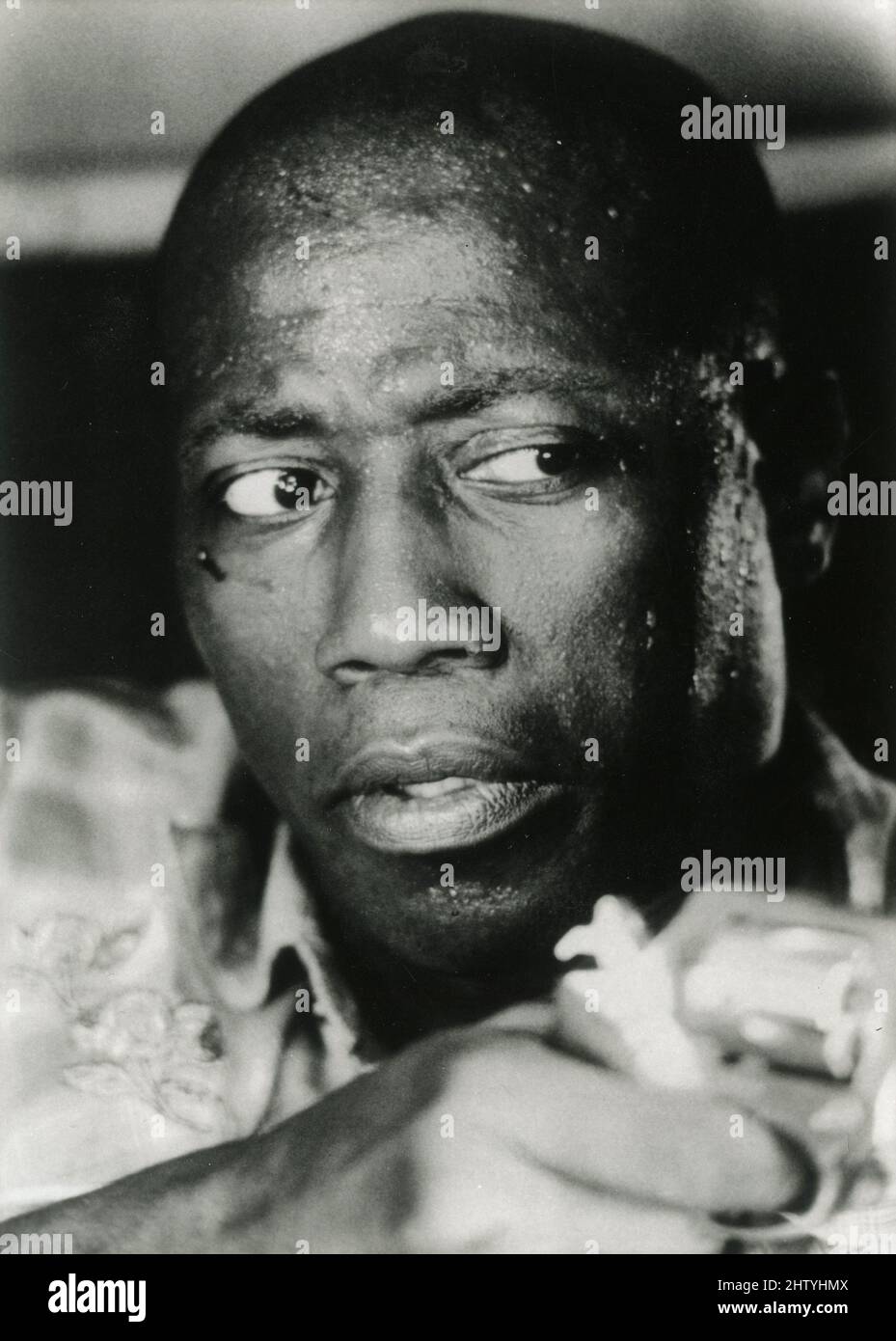 American actor wesley snipes hi-res stock photography and images - Alamy