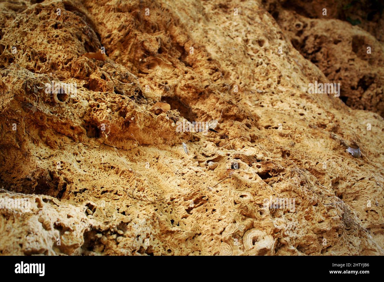 Blemished hi-res stock photography and images - Alamy