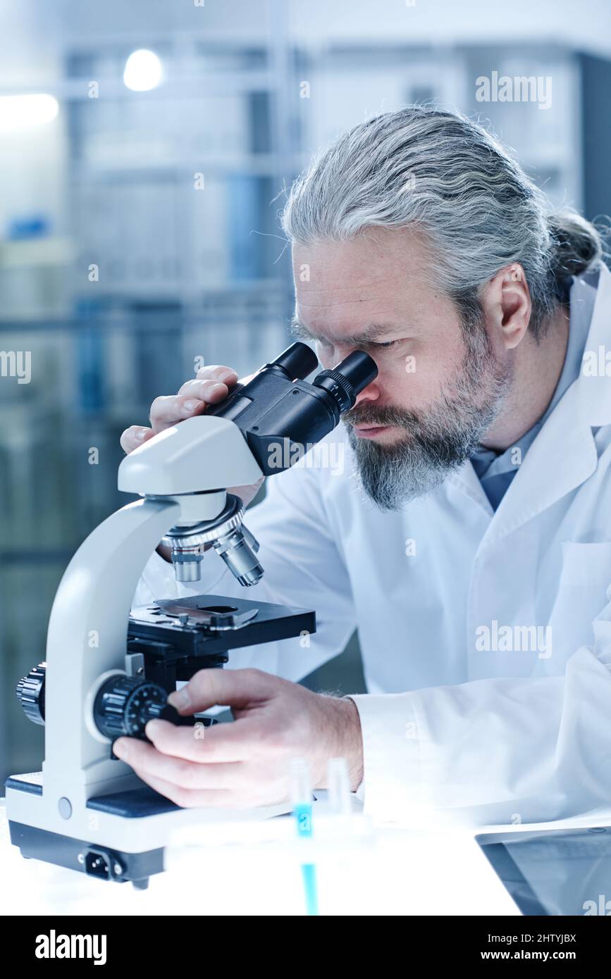 Bearded serious researcher looking through the microscope to examine ...