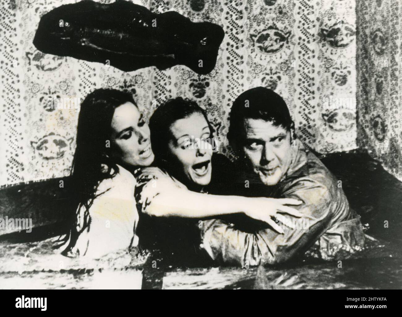 Barbara Wright High Resolution Stock Photography and Images - Alamy