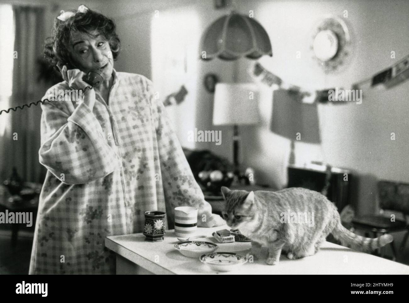 Florence stanley hi-res stock photography and images - Alamy