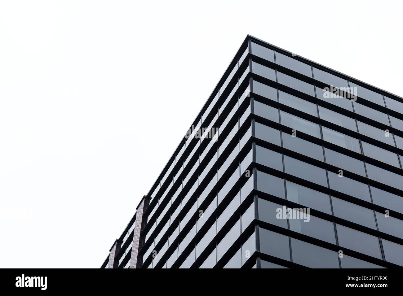 Bright White Windows Logo Wallpaper