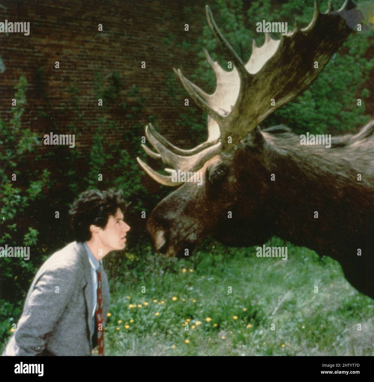 Rob morrow actor hi-res stock photography and images - Alamy