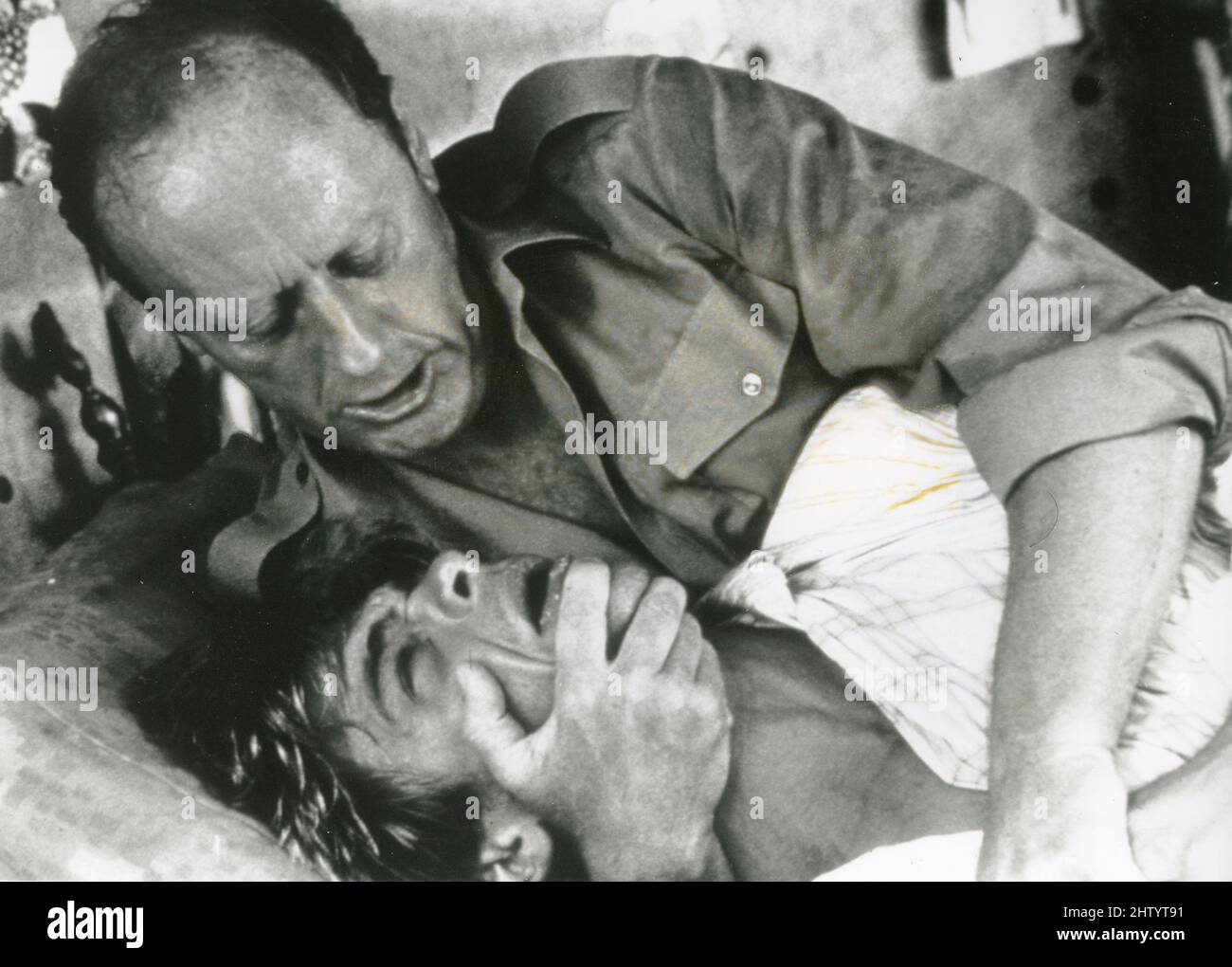 Paul Freeman High Resolution Stock Photography and Images - Alamy