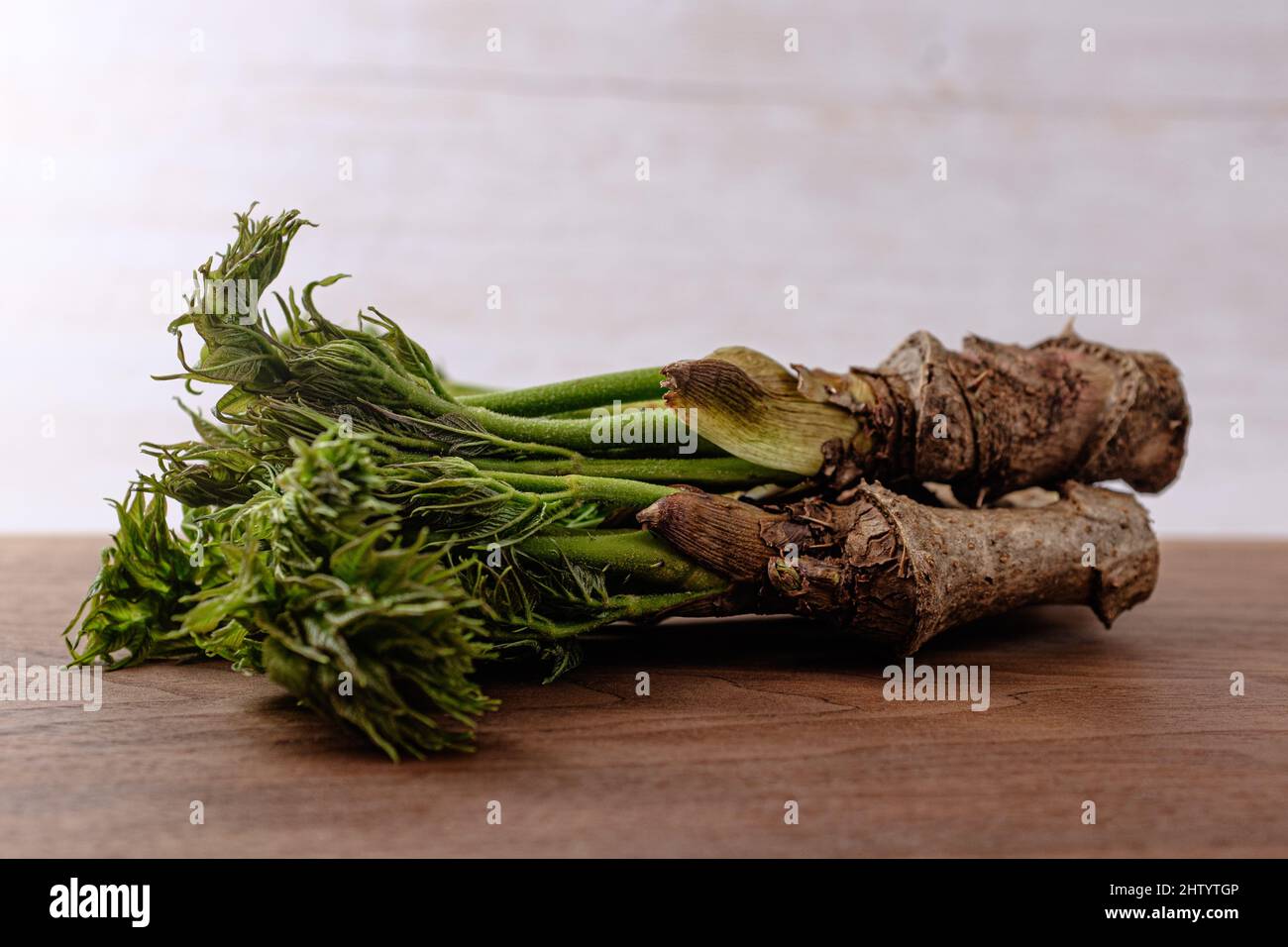 Edible shoots hi-res stock photography and images - Alamy