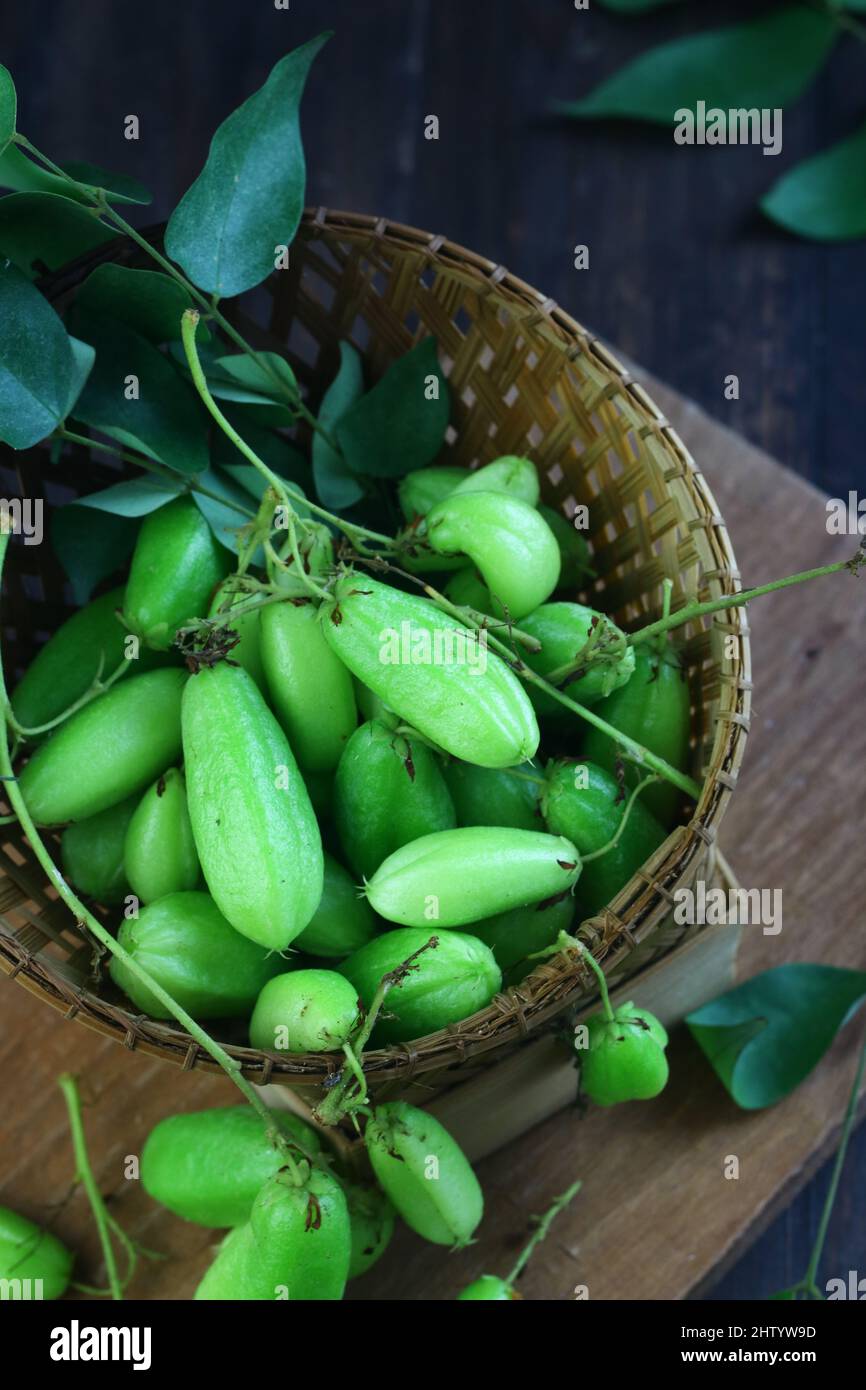 Belimbing wuluh or bilimbi fruit, one of Indonesian raw ingredients for ...