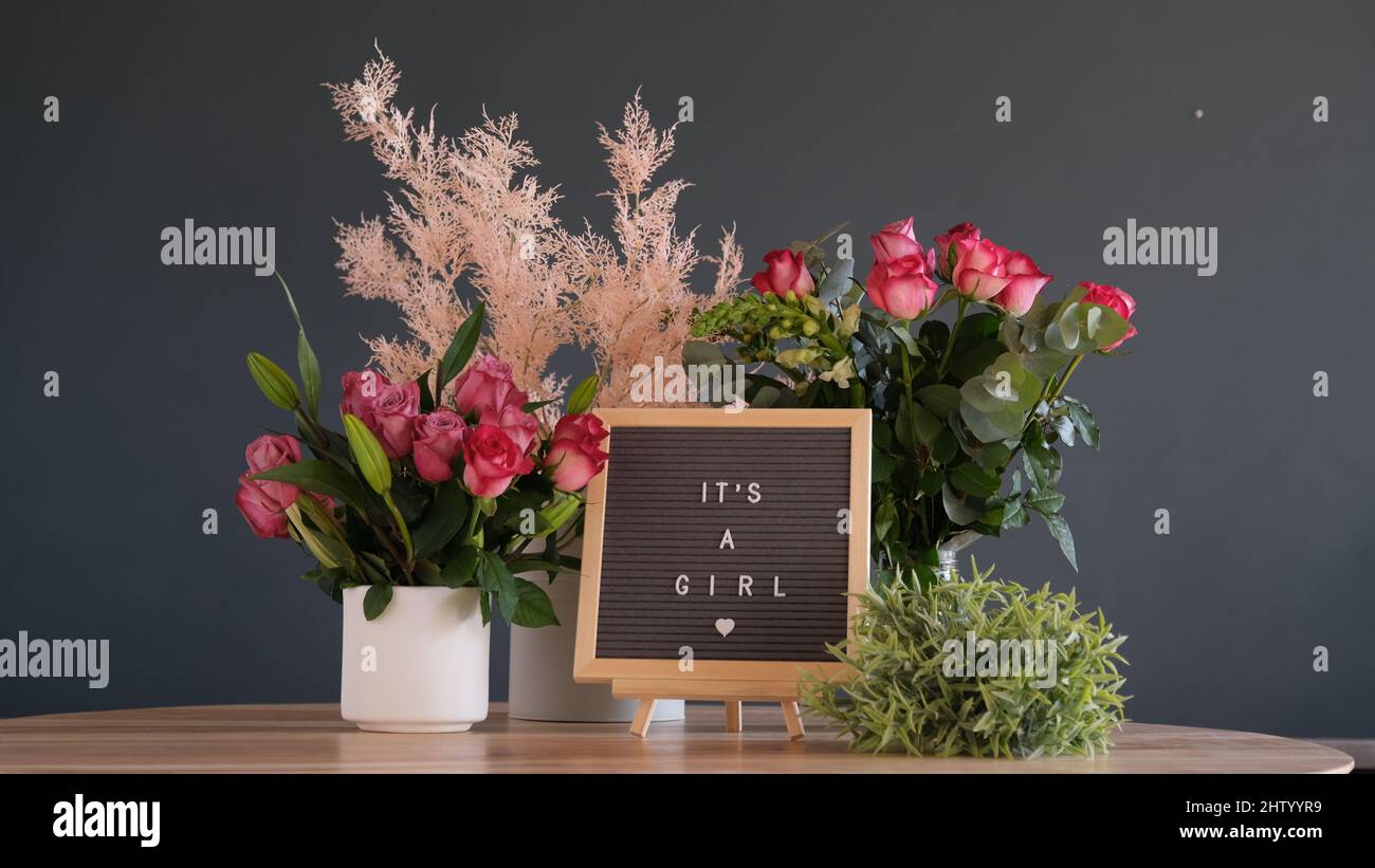 It's a girl gender reveal Stock Photo - Alamy
