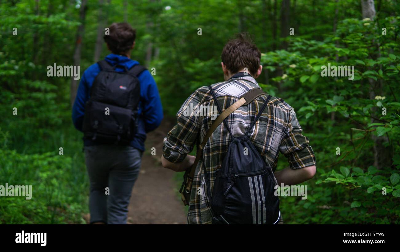 Back view young men travel trees hi-res stock photography and images ...