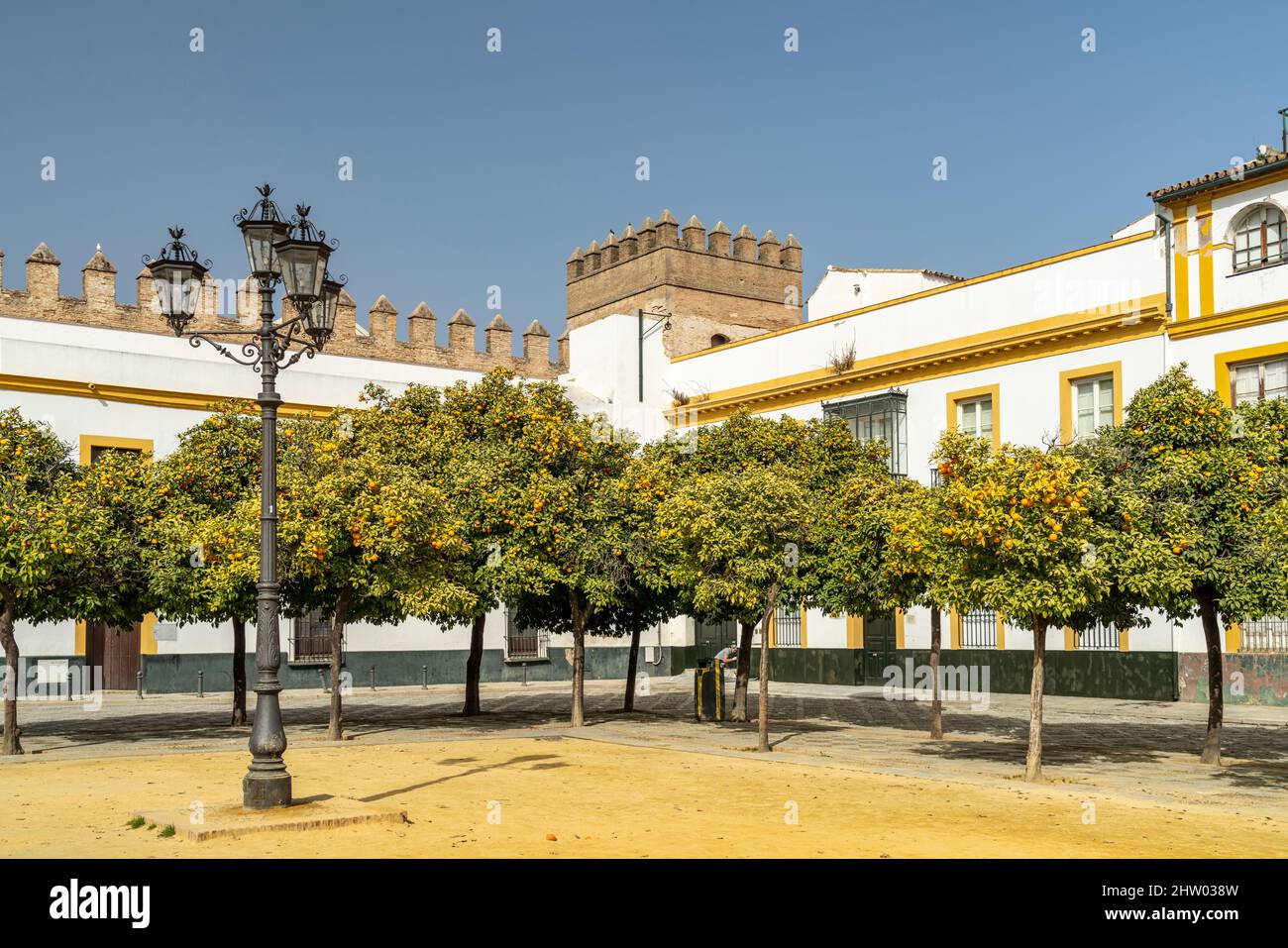 patio-de-banderas-platz-alcazar-von-sevilla-andalusien-spanien