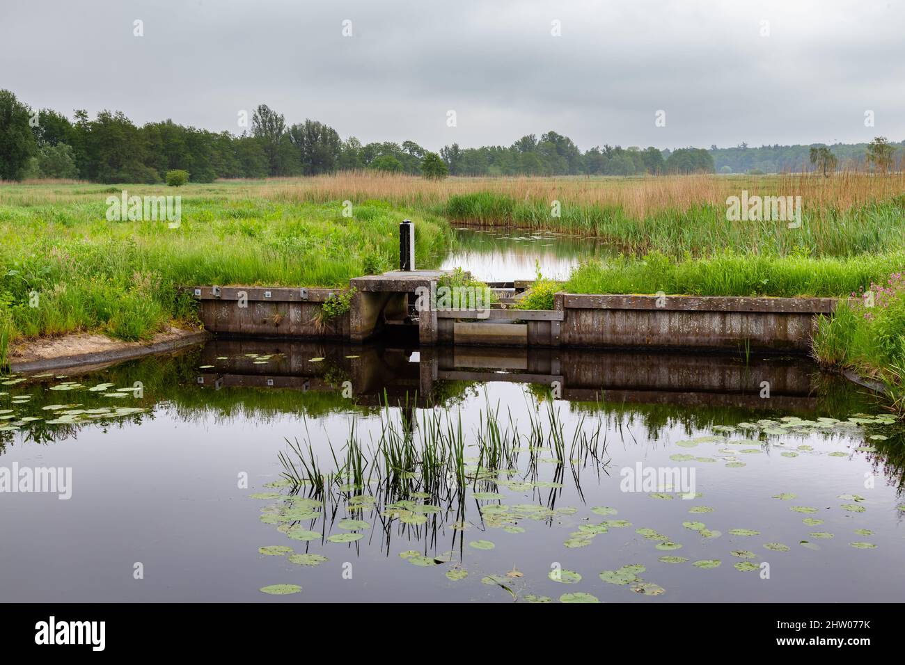 Wooden water sluice in small stream at countrysside of The Netherlands ...