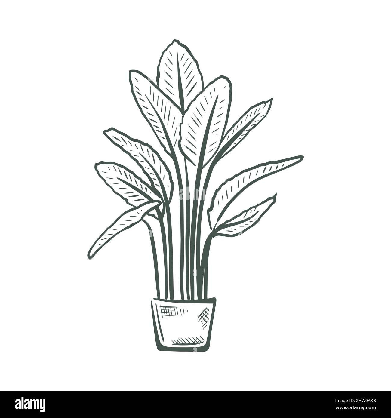 Black outline plant pot hi-res stock photography and images - Alamy