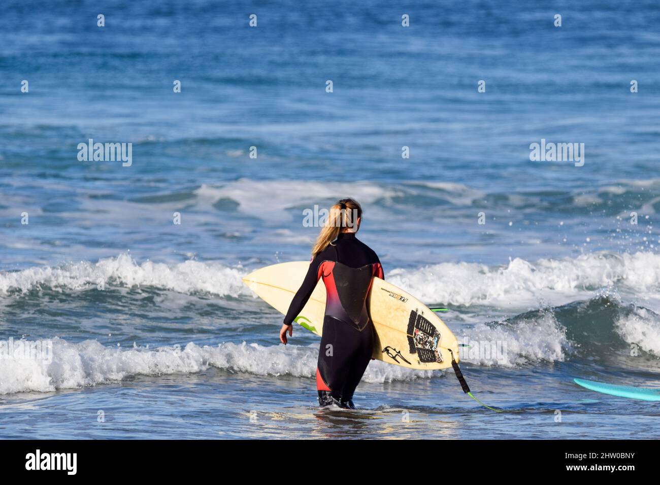 Rear view of female surfer entering the sea to surf Stock Photo - Alamy