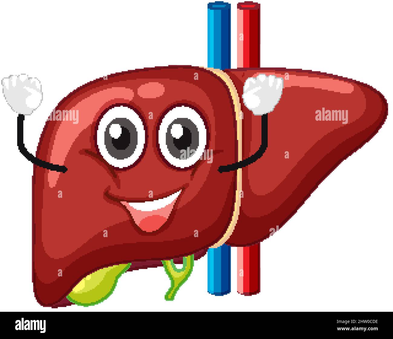 Healthy Liver with face expression on white background illustration ...