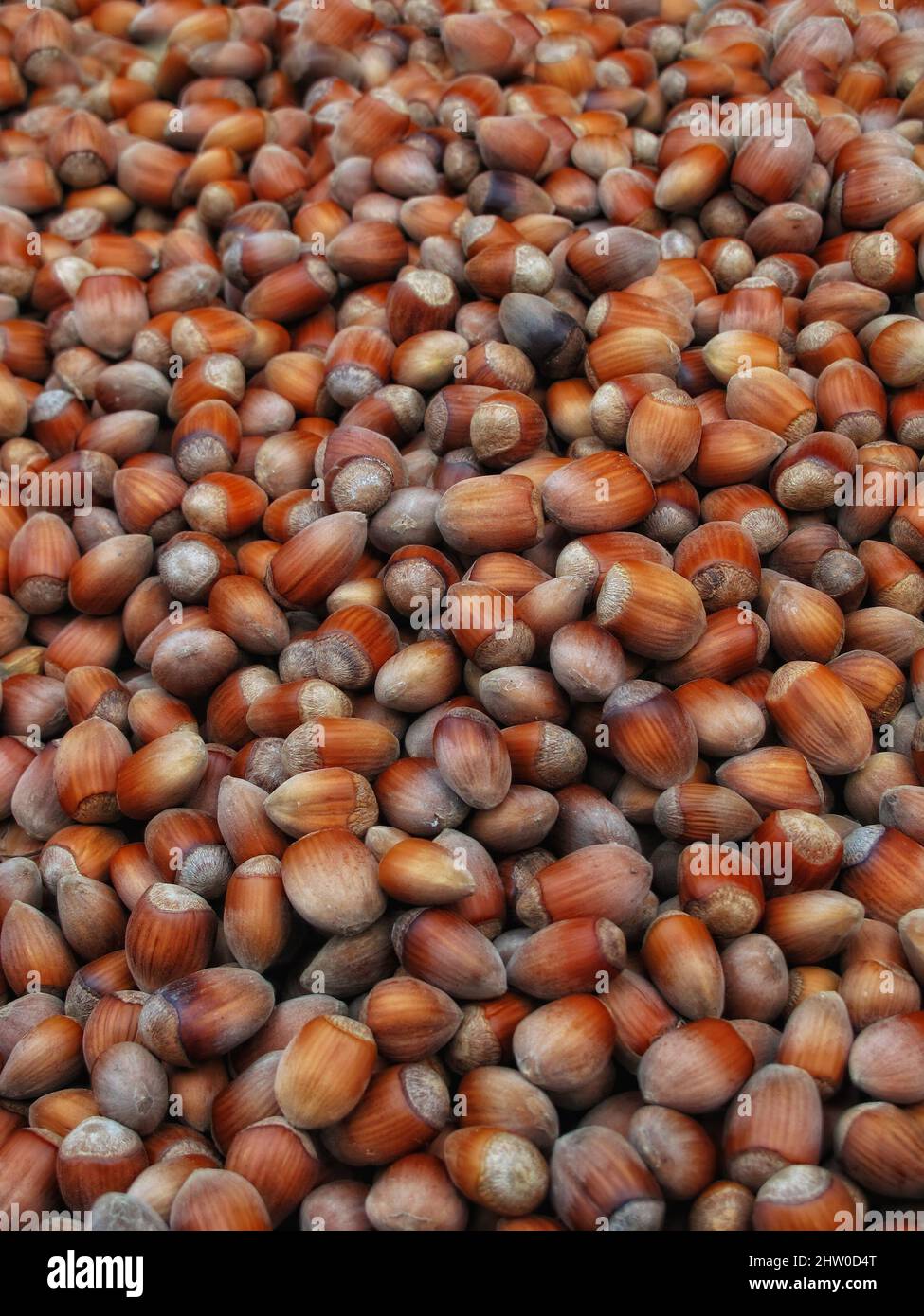 Closeup outside outdoor detail hi-res stock photography and images - Alamy