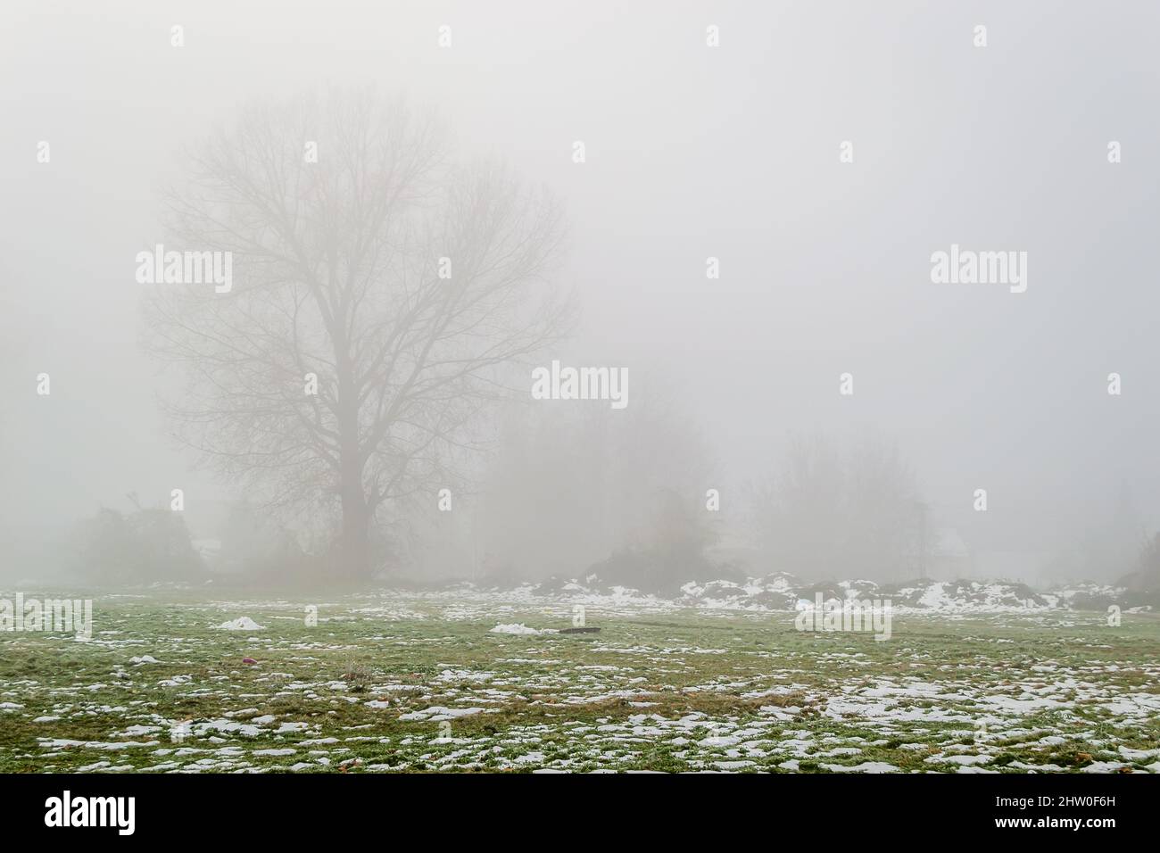 Panorama of the pond covered with thick fog Stock Photo - Alamy