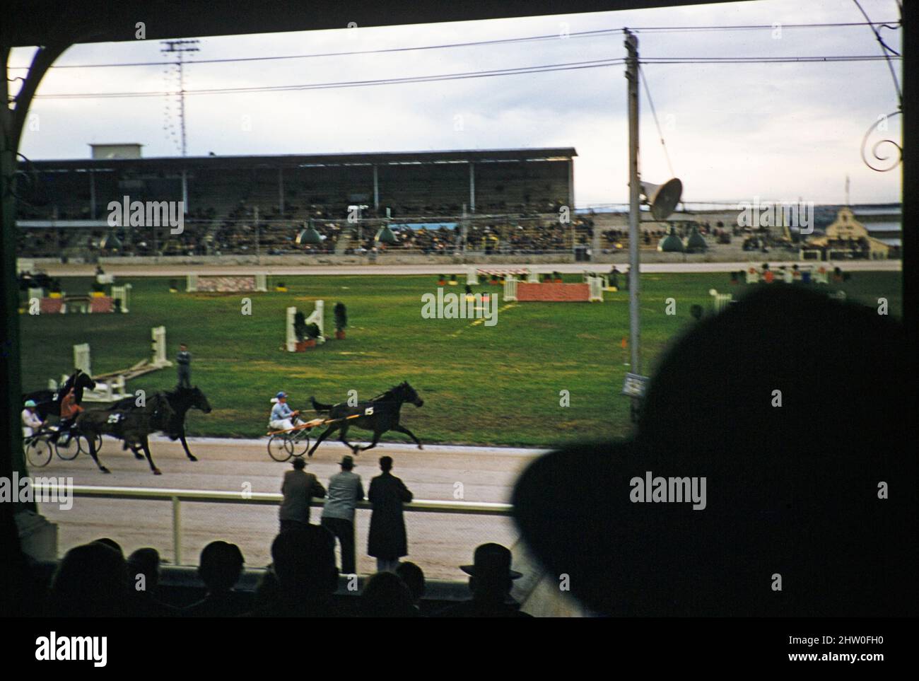 Australian harness horse racing hi-res stock photography and images - Alamy