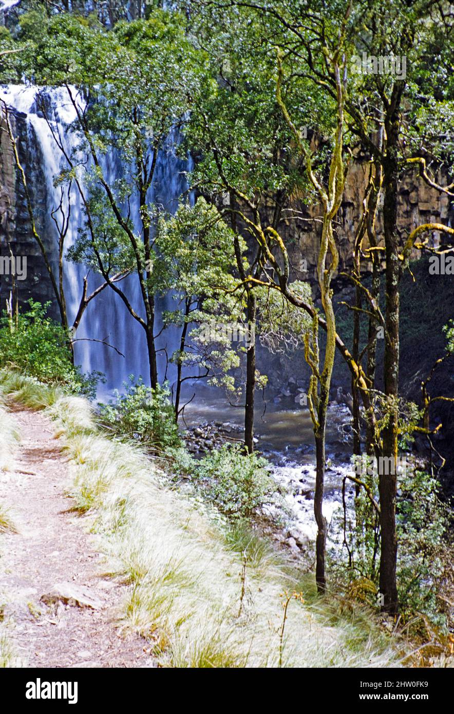 Trentham Falls waterfall, Coliban River, Victoria, Australia, 1956 ...