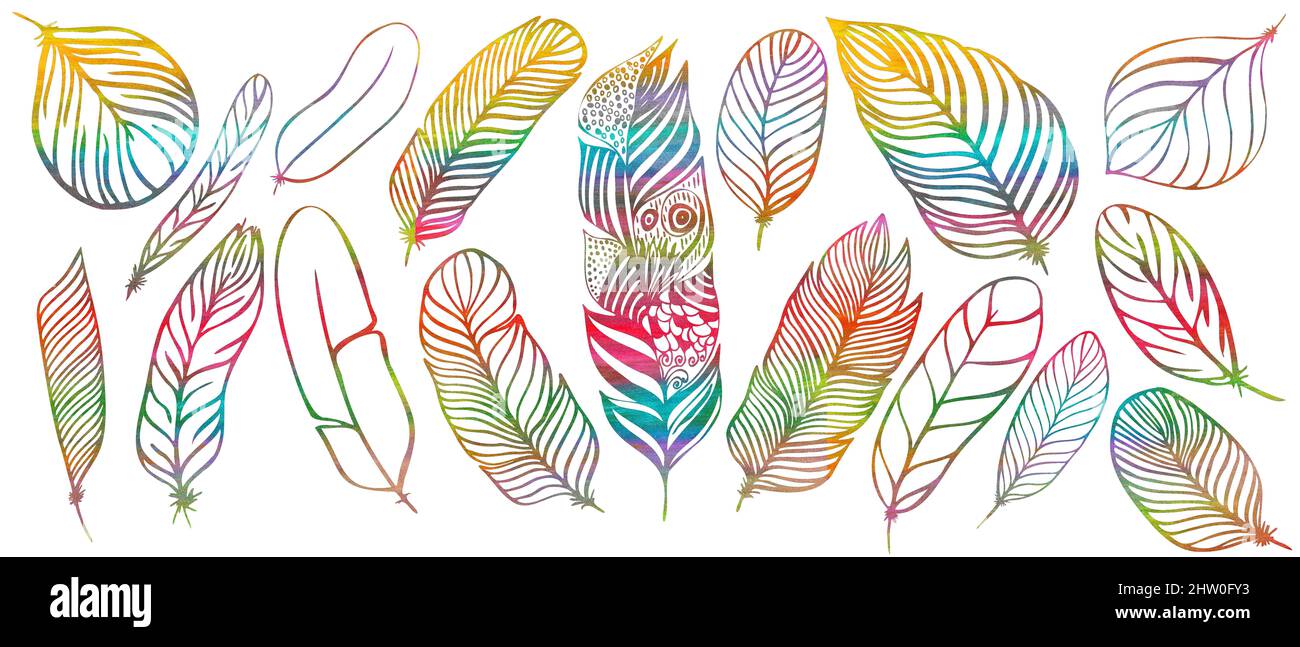 set of different feathers handwritten in color Stock Photo - Alamy