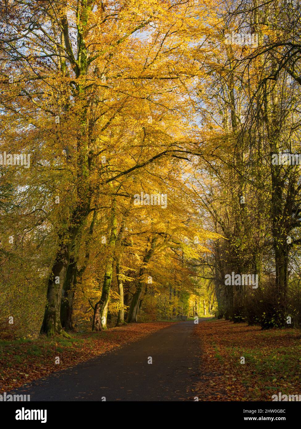 Newmilns, east ayrshire hi-res stock photography and images - Alamy