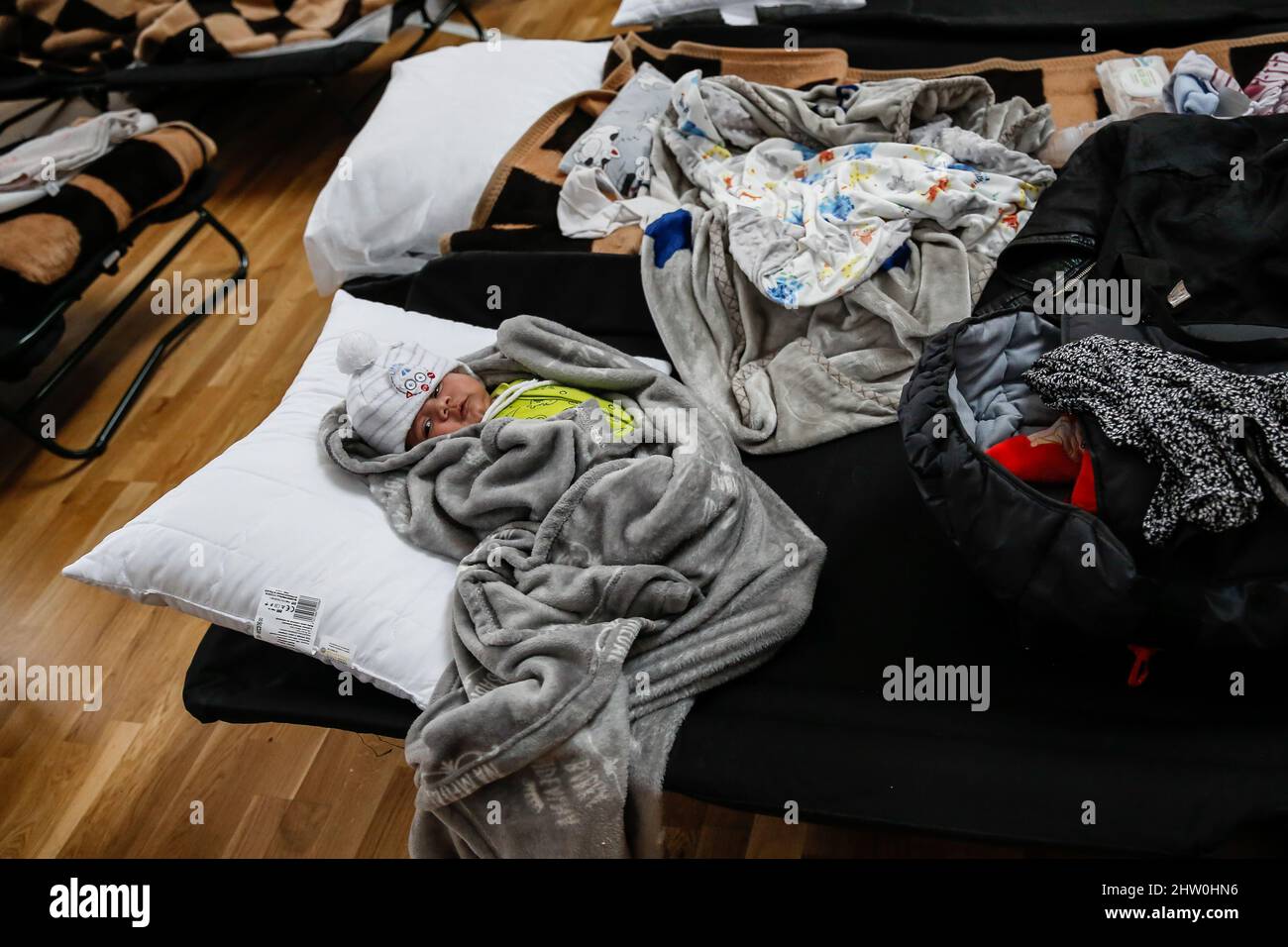 Camp integrity hi-res stock photography and images - Alamy