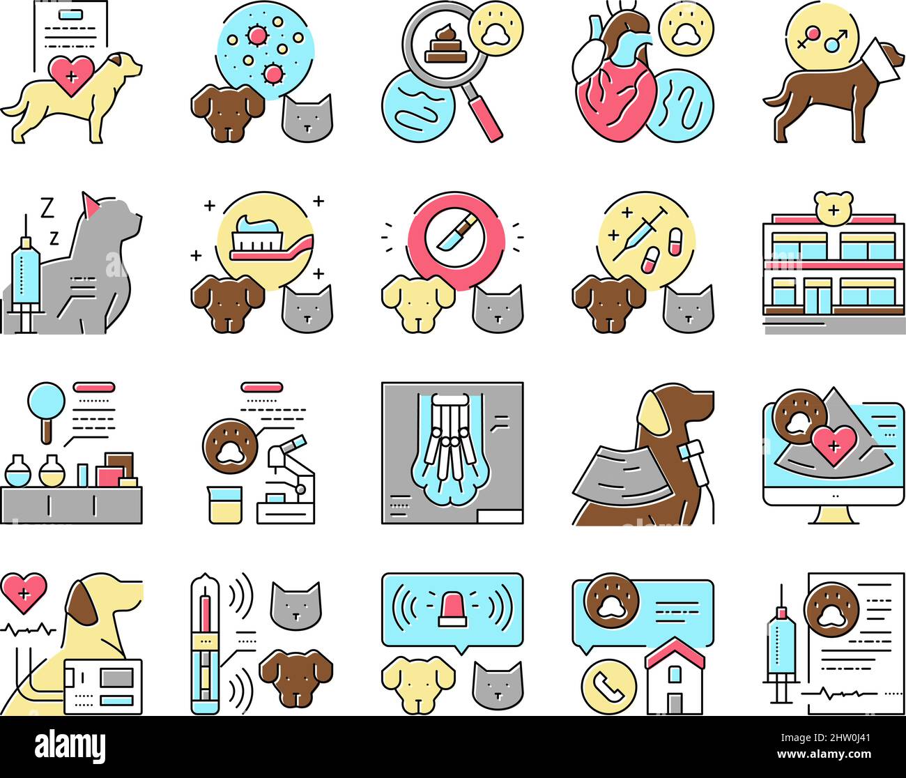 Hospital Pet Health Examination Icons Set Vector Stock Vector Image ...