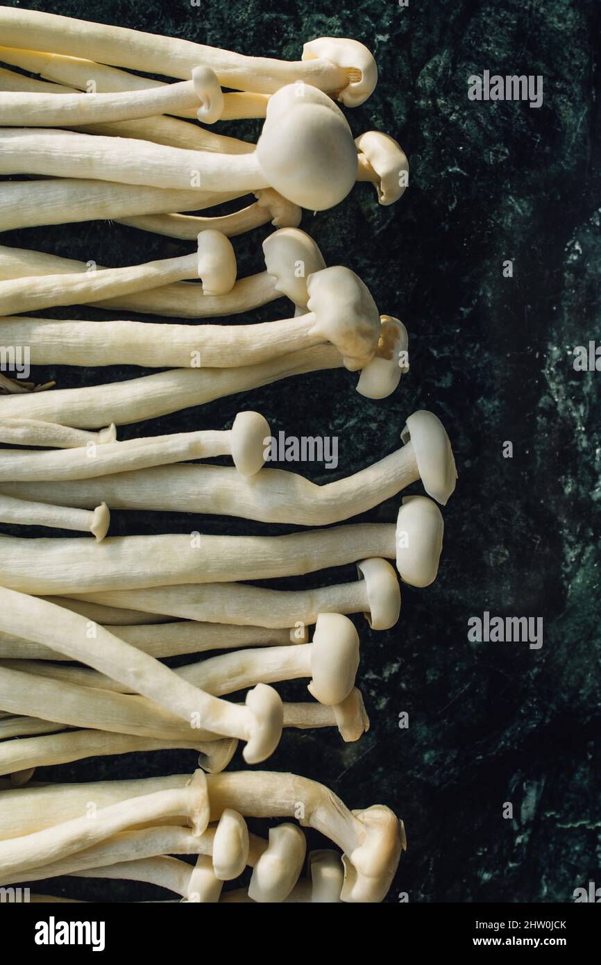 white enoki mushrooms Stock Photo - Alamy