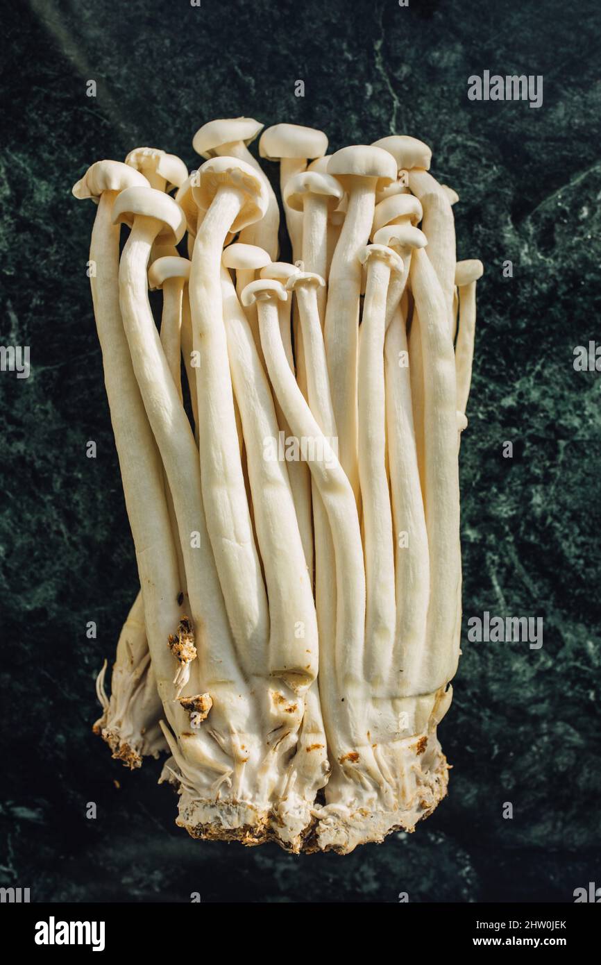 white enoki mushrooms Stock Photo - Alamy