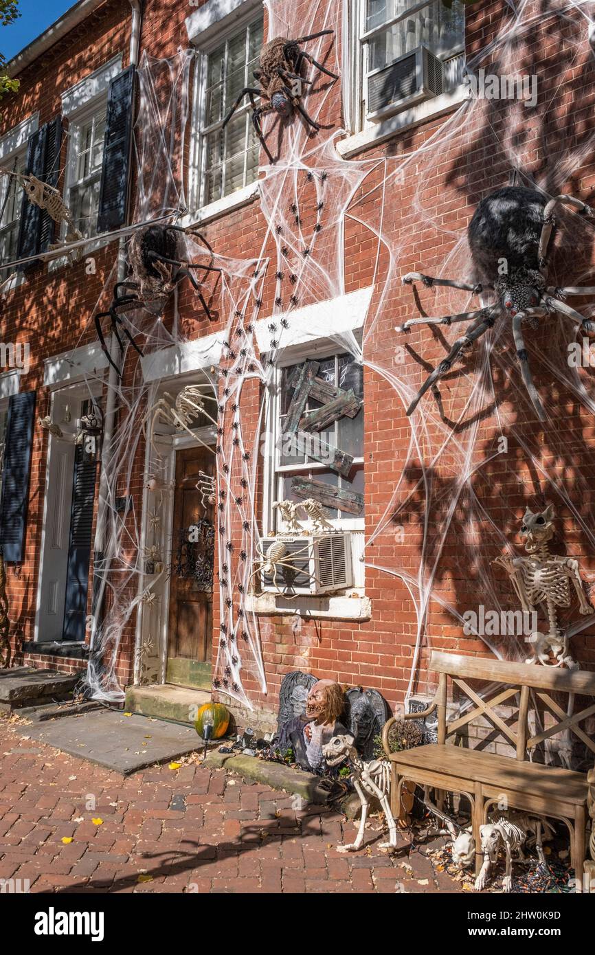 Halloween spiders hi-res stock photography and images - Alamy