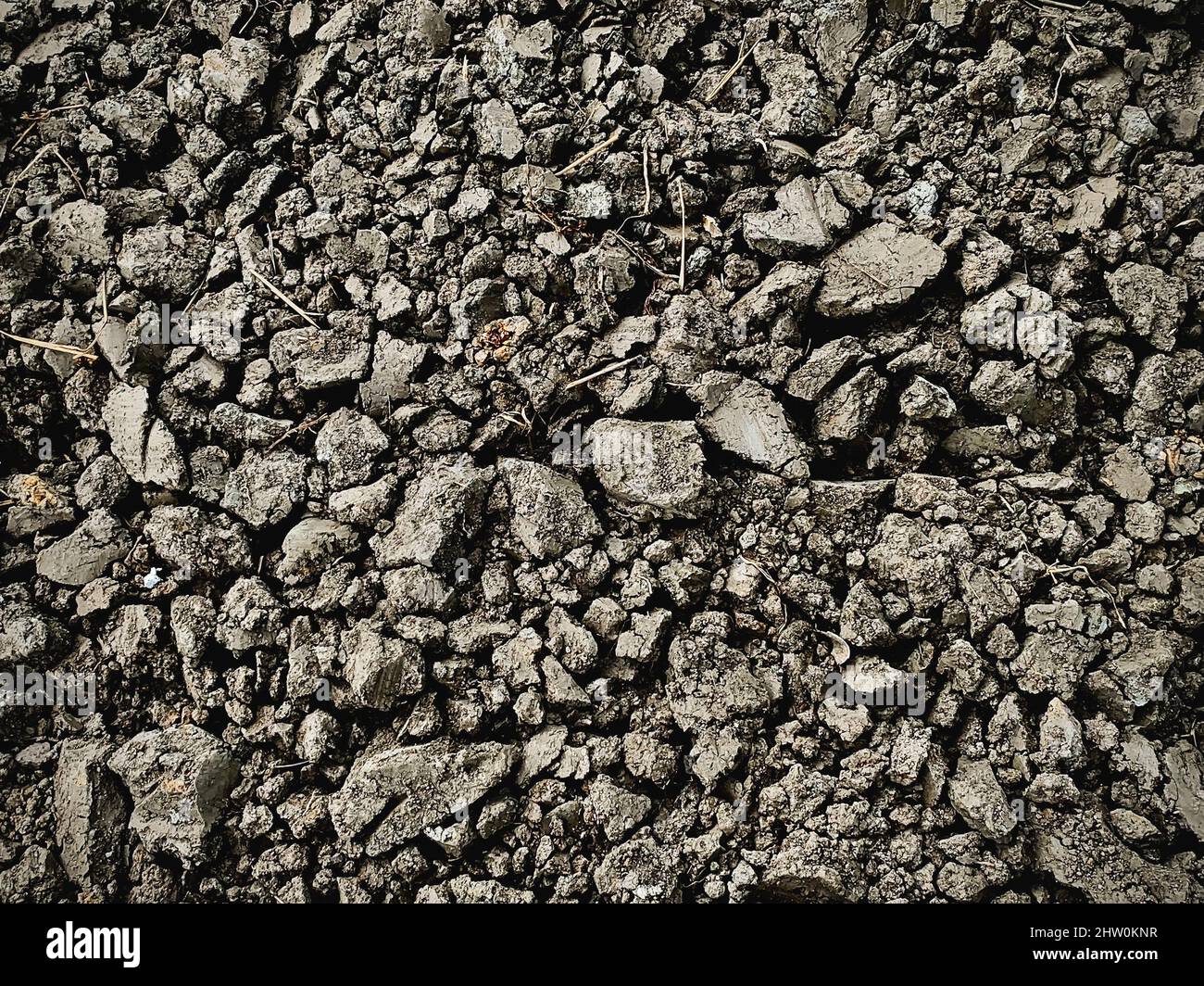 Soil particles contribute to supply and retain essential plant nutrient ...