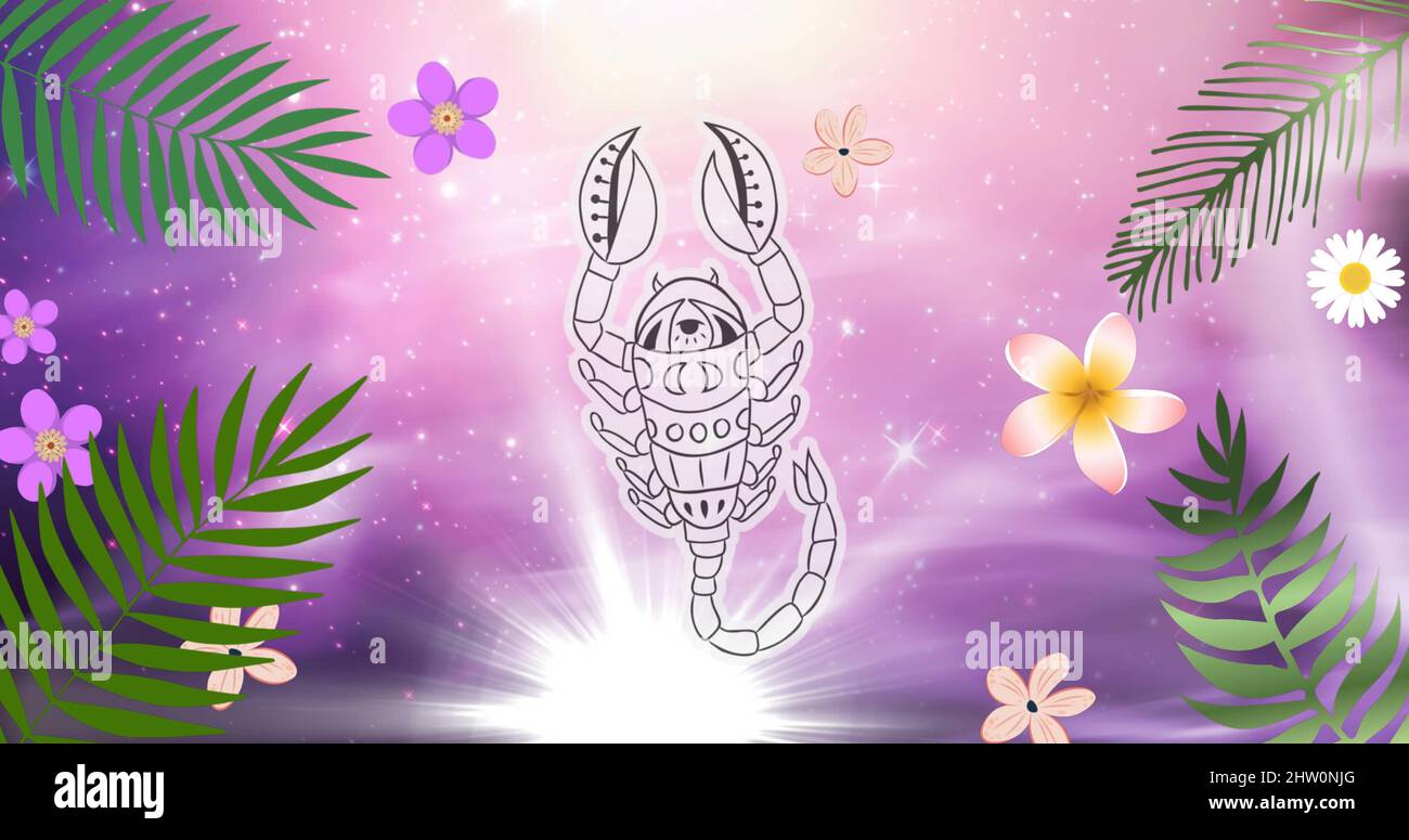 Image of scorpio star sign over flowers and leaves on purple background ...