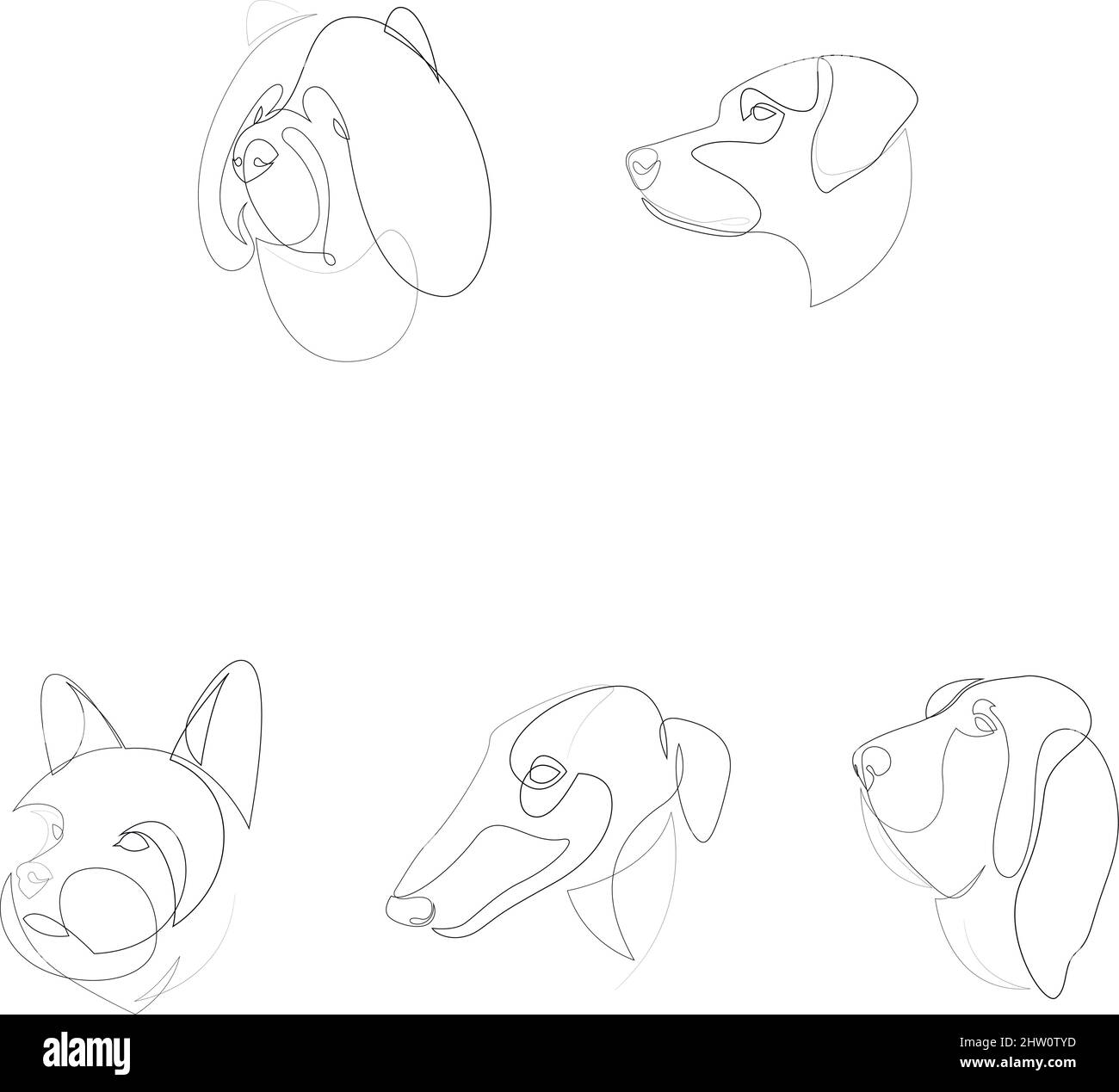 Breeds of dogs drawn in minimal style set. One line dogs. Vector ...