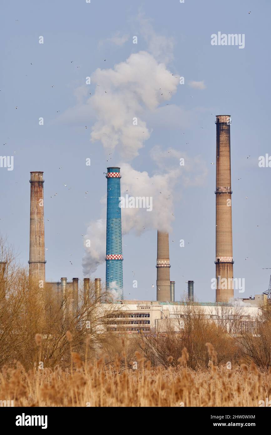 Industrial pollution concept with funnels and thick white smoke rising ...