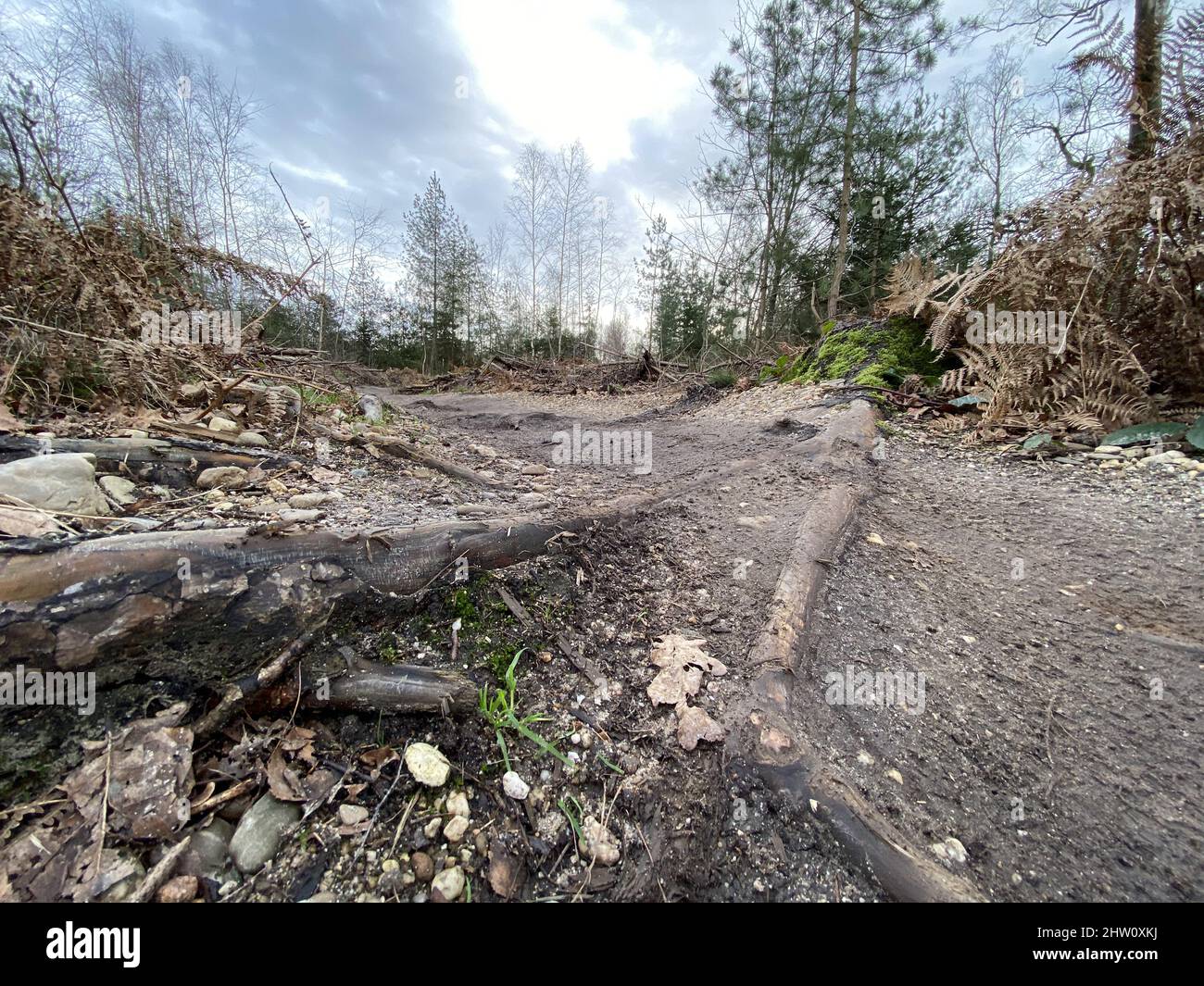 Pathway close up hi-res stock photography and images - Alamy