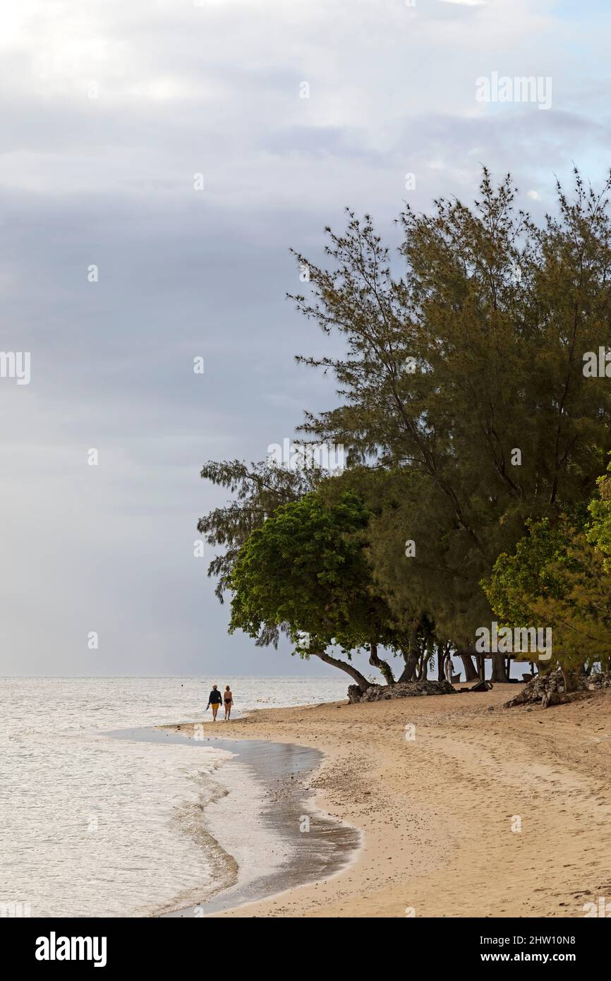 People walking on Flic en Flac beach in Mauritius. Filao and palm trees ...