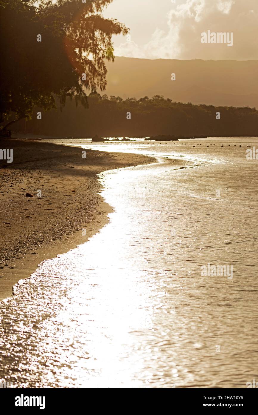 Filoa tree hi-res stock photography and images - Alamy