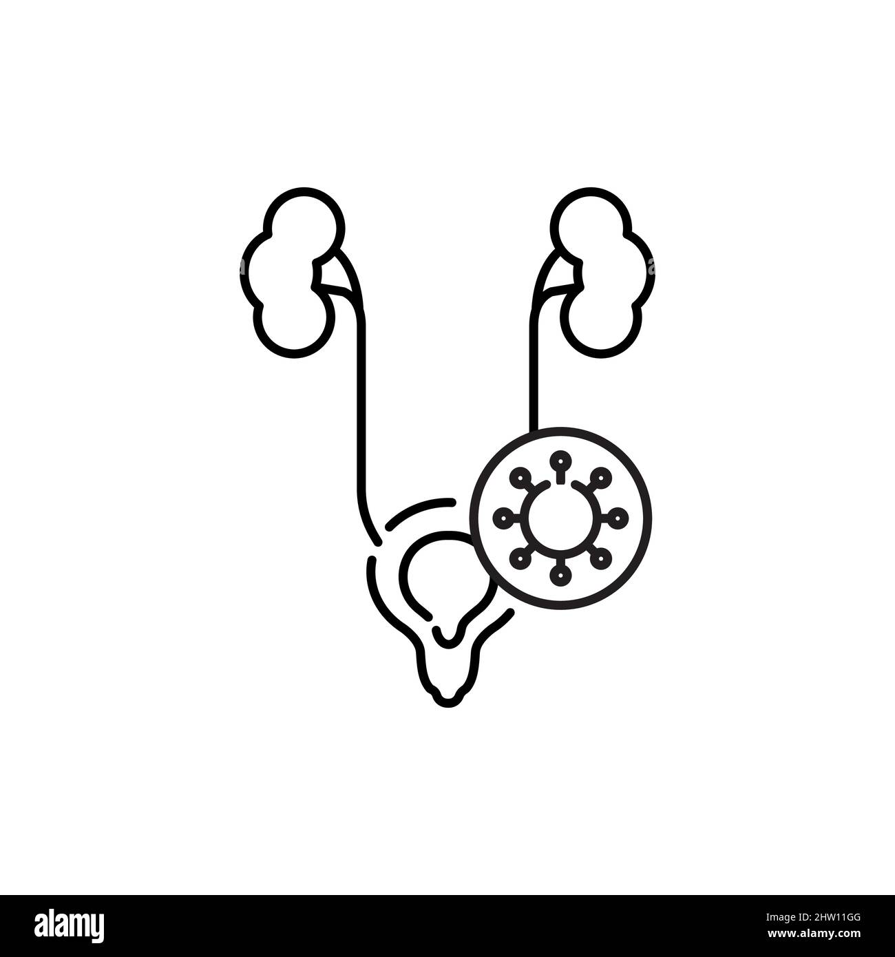 Genitourinary system virus disease color line icon. Pictogram for web ...