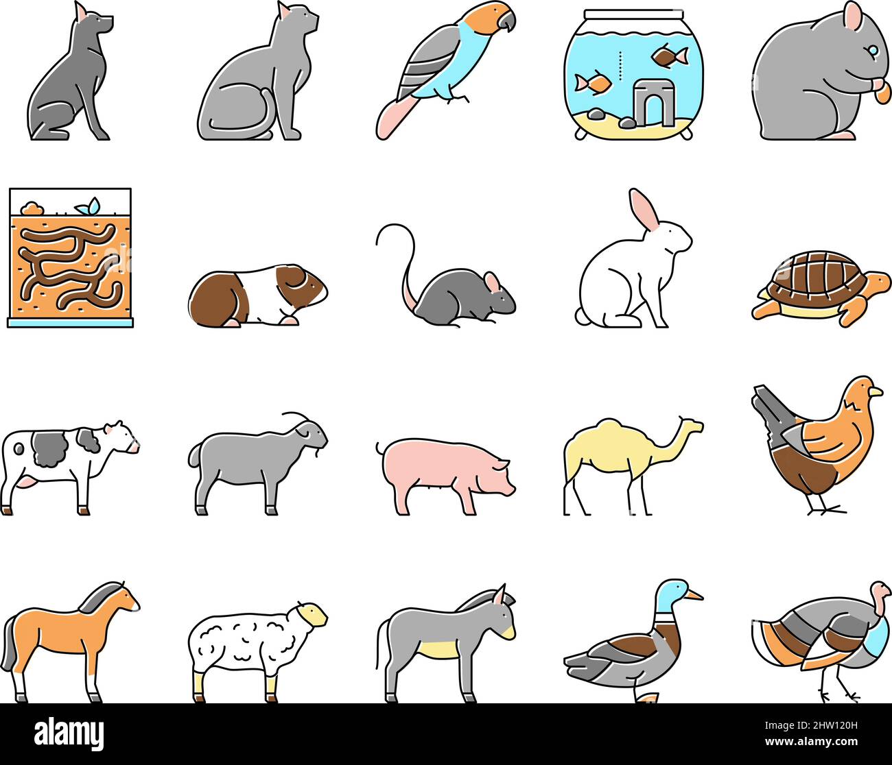 Pets Domestic Animal Collection Icons Set Vector Stock Vector Image ...