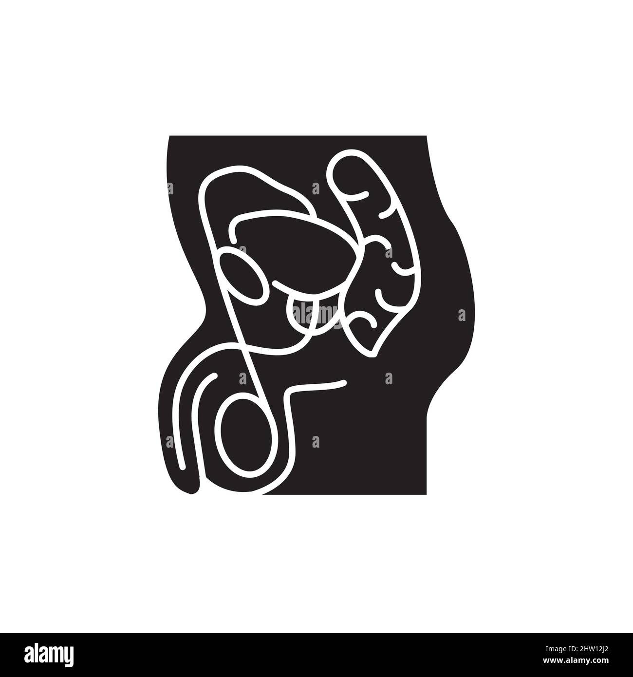 Male genitourinary system color line icon. Pictogram for web page ...